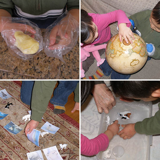 9 Arctic animals learning activities - Gift of Curiosity