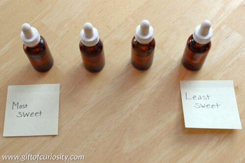 Sense of taste activity for kids using tasting bottles