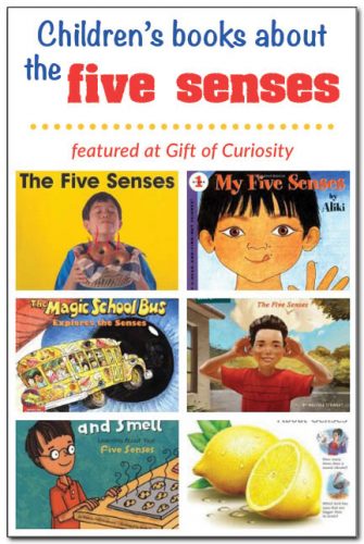 Books about the five senses for kids - Gift of Curiosity