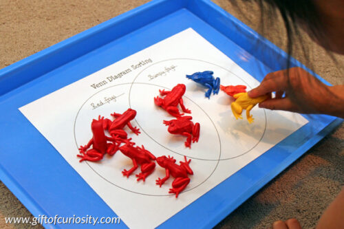 Practicing advanced sorting with Venn diagrams - Gift of Curiosity