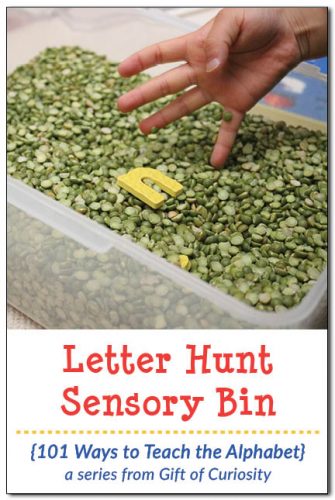 Letter hunt sensory bin - Gift of Curiosity
