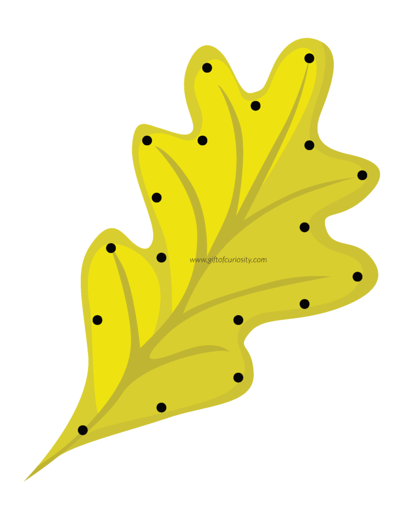 Fall Leaf Lacing Cards - Gift of Curiosity