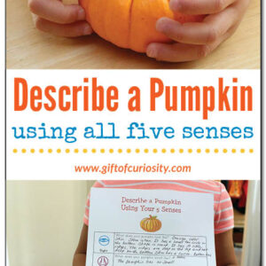 5 Senses Archives - Gift of Curiosity