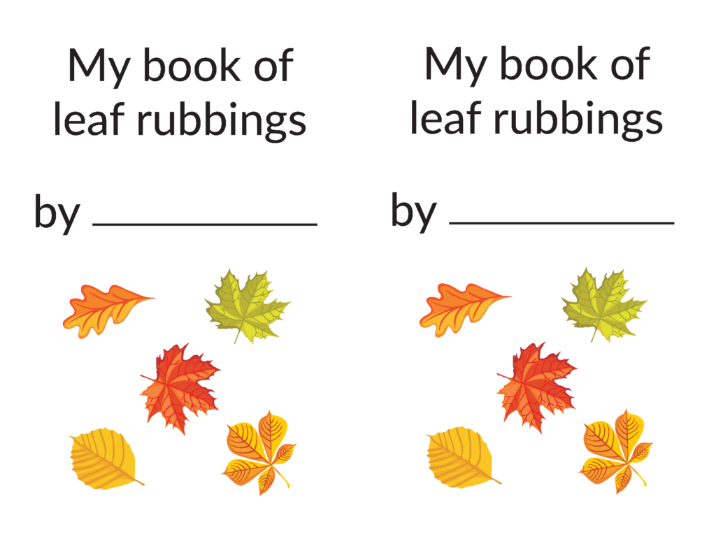 Leaf Rubbings Book - Gift of Curiosity