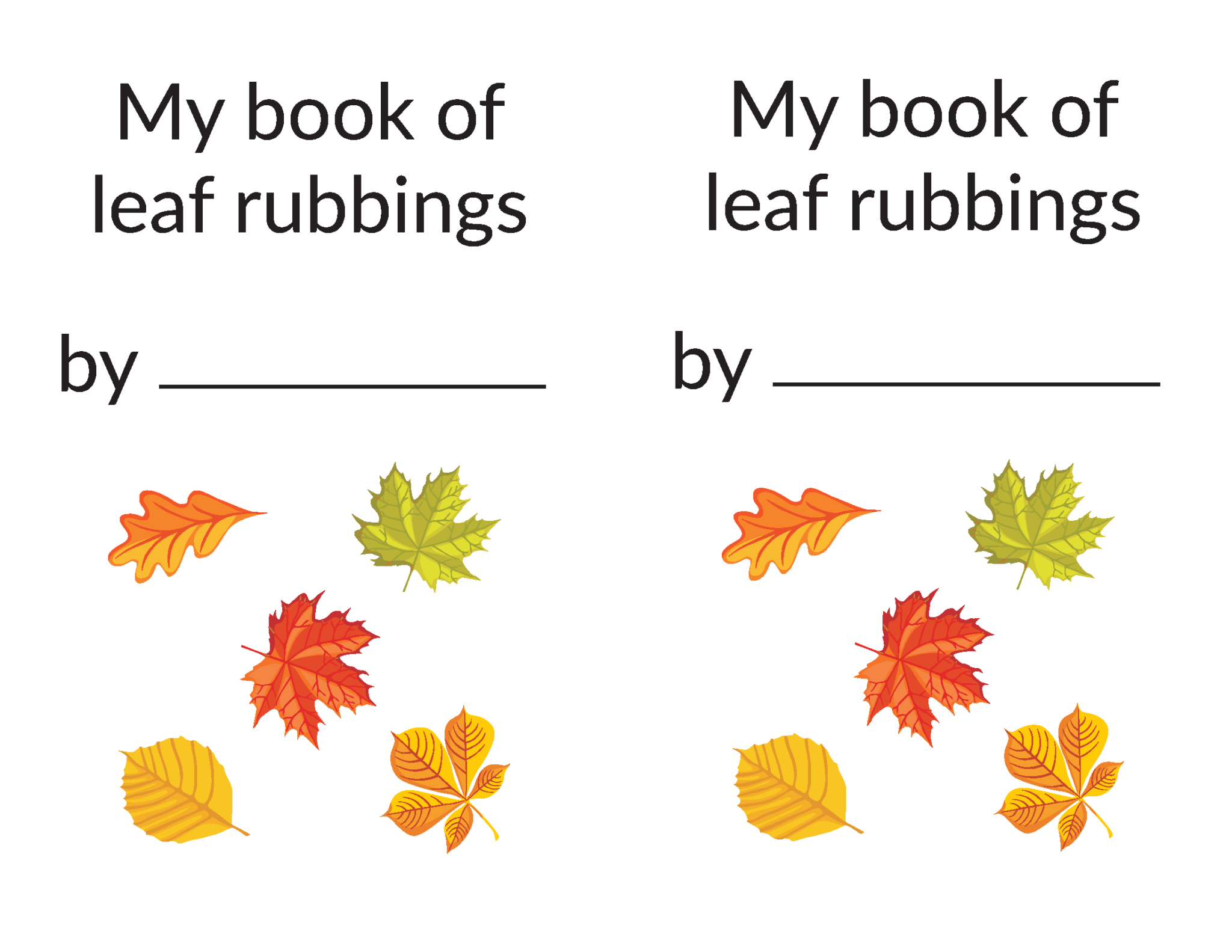 Leaf Rubbings Book - Gift of Curiosity