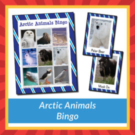 Arctic Animals Bingo - Gift of Curiosity