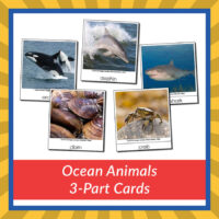 Ocean Animals Montessori Book & 3-Part Cards - Gift of Curiosity