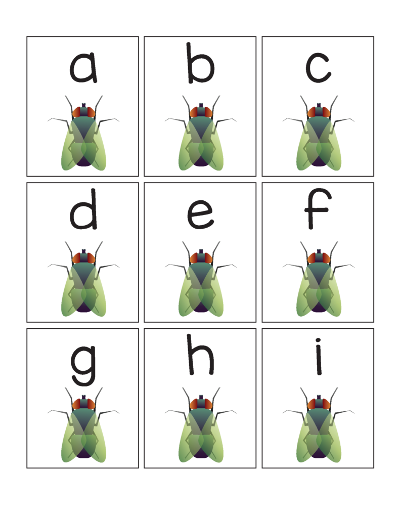 Swat the Fly Alphabet Activity - Gift of Curiosity