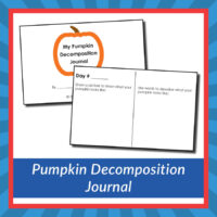Pumpkin Decomposition Journal - Gift of Curiosity