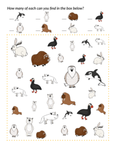 Arctic Animals I Spy - Gift of Curiosity
