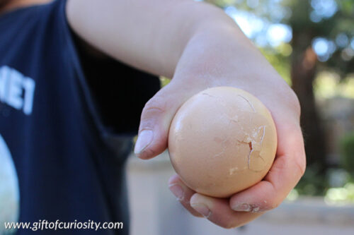 The egg drop challenge and other STEAM activities that teach scientific ...