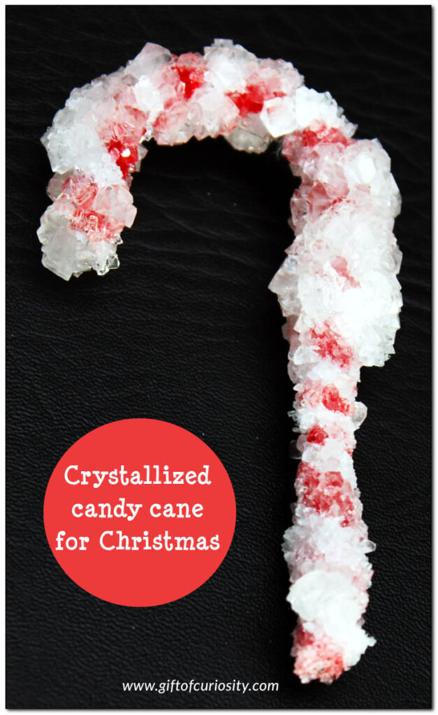 Crystallized candy canes {Christmas STEAM activity} - Gift of Curiosity