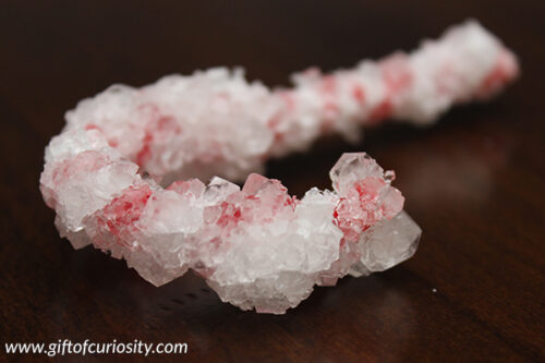 Crystallized candy canes {Christmas STEAM activity} - Gift of Curiosity