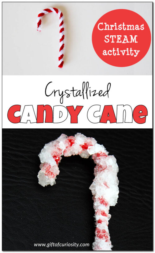 Crystallized candy canes {Christmas STEAM activity} - Gift of Curiosity