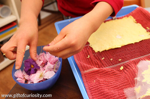 Making recycled paper with nature accents - Gift of Curiosity