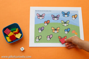 Insects Roll & Cover Math Games - Gift of Curiosity