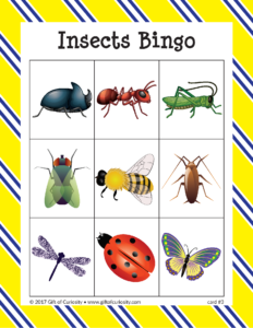 Insects Bingo - Gift of Curiosity
