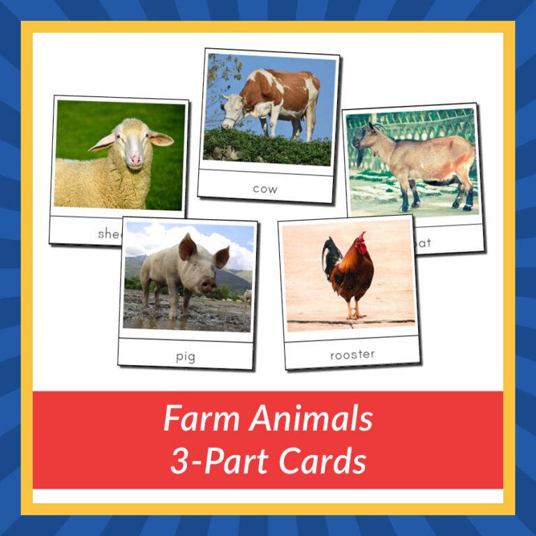 Farm Animal Montessori 3-Part Cards (2 different versions!) - Gift of ...