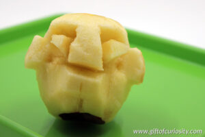 Shrunken apple heads - Gift of Curiosity