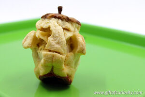 Shrunken apple heads - Gift of Curiosity