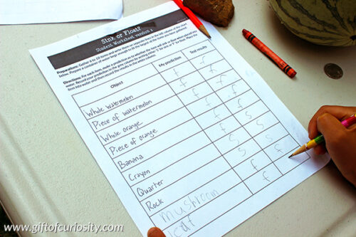 Sink or float? A hands-on density activity for kids - Gift of Curiosity
