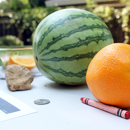 Sink or float? A hands-on density activity for kids - Gift of Curiosity