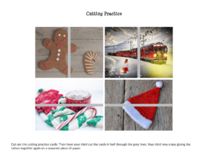 Christmas Fine Motor Pack - Gift of Curiosity