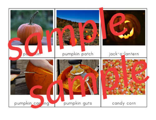 Montessori Halloween 3-Part Cards - Gift of Curiosity