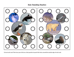 Arctic Animals Fine Motor Pack - Gift of Curiosity
