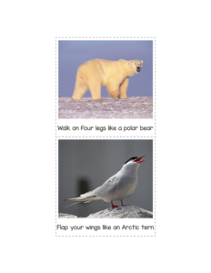 Arctic Animals gross motor movement game {free printable} - Gift of ...
