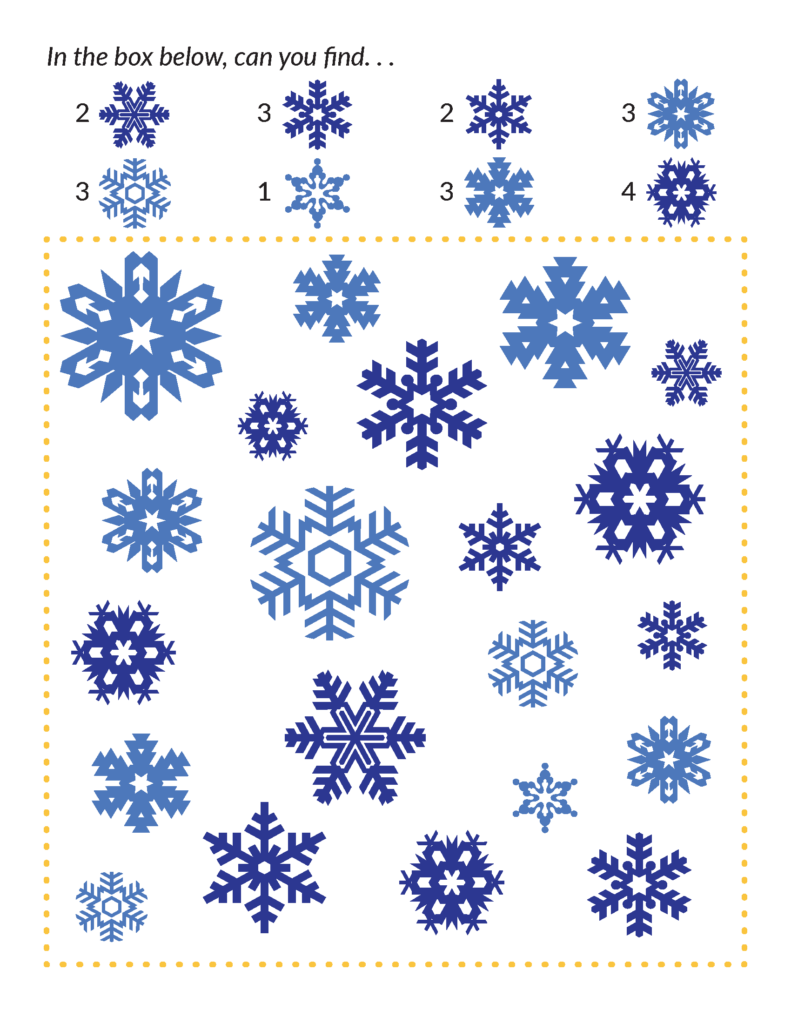 Snowflakes I Spy - Gift of Curiosity