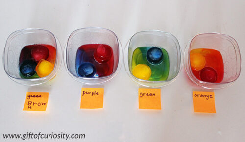 Color mixing with colored ice cubes - Gift of Curiosity