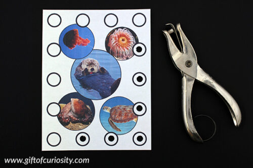Ocean Fine Motor Pack - Gift of Curiosity