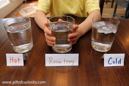 Human Body Activity: Learning about temperature receptors in the skin ...