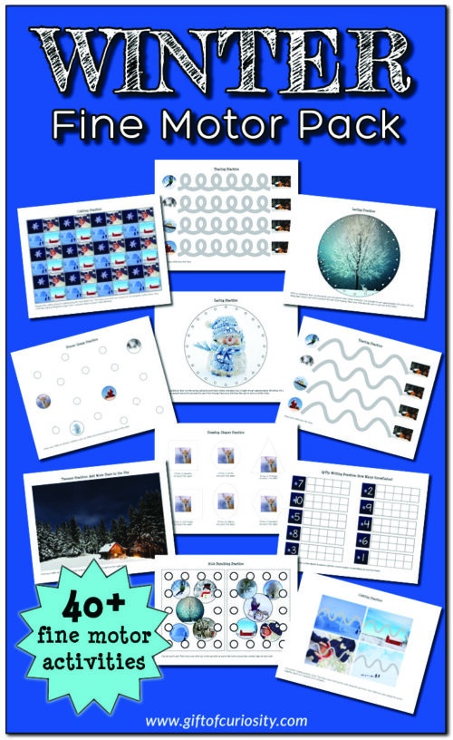 Winter Fine Motor Pack Gift Of Curiosity