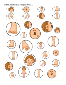 Human Body Printables Bundle - Gift of Curiosity