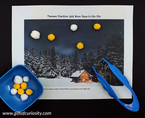 Winter Fine Motor Pack - Gift of Curiosity