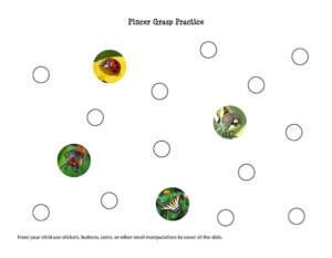 Insects Fine Motor Pack - Gift of Curiosity