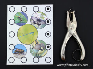 Insects Fine Motor Pack - Gift of Curiosity