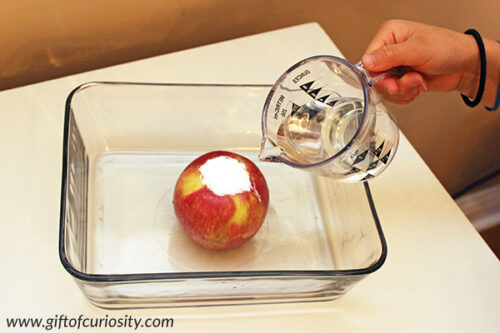 Apple Volcano {kitchen science for kids} - Gift of Curiosity