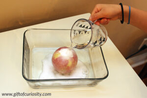 Apple Volcano {kitchen science for kids} - Gift of Curiosity