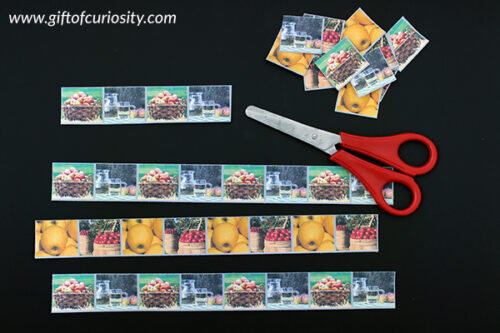 Apple Fine Motor Pack - Gift of Curiosity