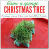 Grow your own Christmas tree sponge - Gift of Curiosity