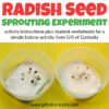 Seed Sprouting Experiment (including student observation worksheets ...