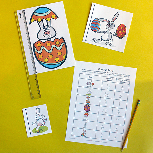 Egg Measurement Worksheet Parts Of An Egg Worksheet | Teaching