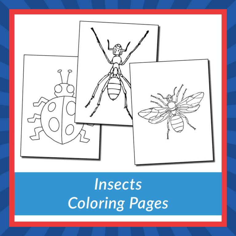 Insects Coloring Pages - Gift of Curiosity