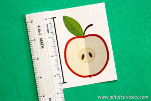 Apples Measurement Activity - Gift of Curiosity