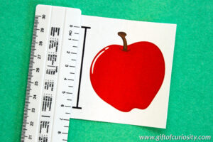 Apples Measurement Activity - Gift of Curiosity