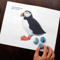 Arctic Region Archives - Gift of Curiosity