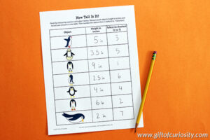 Penguins measurement activity - Gift of Curiosity